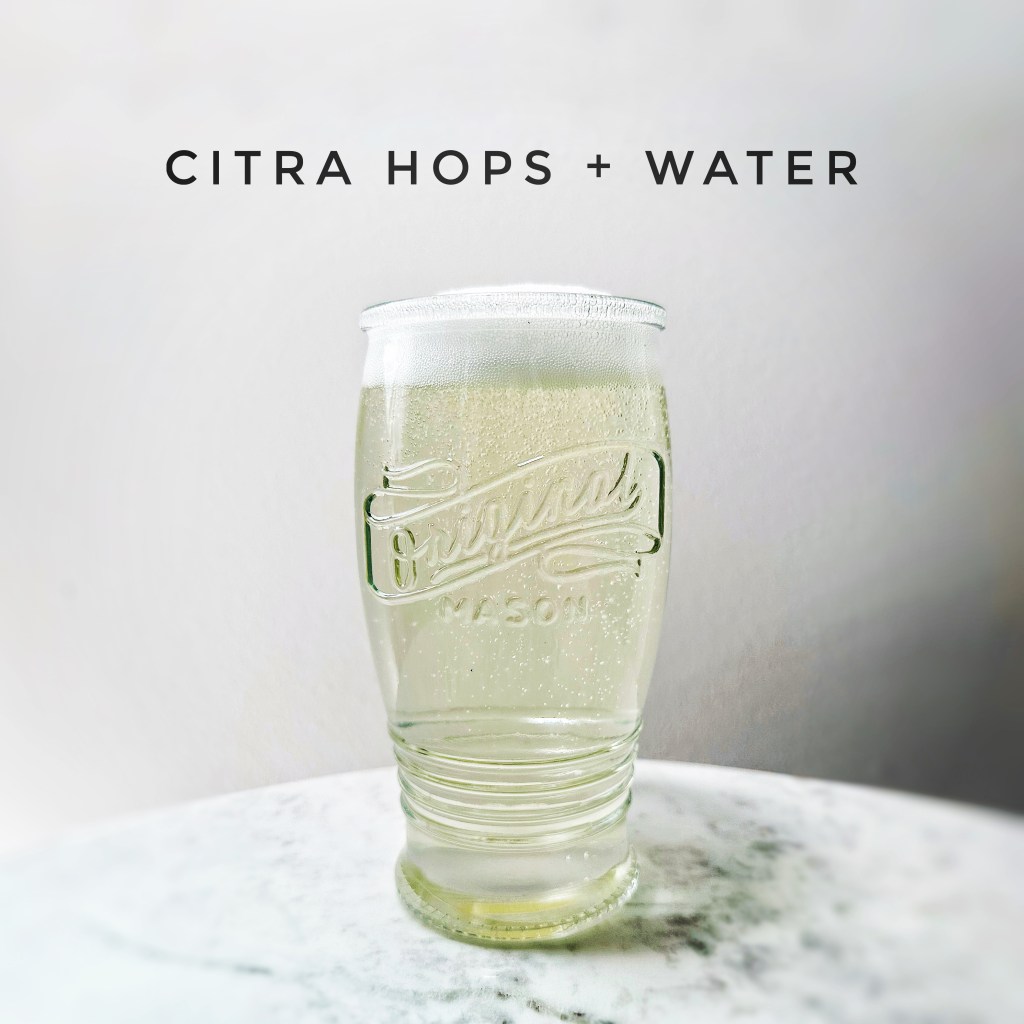 Easy Recipe for Sparkling Citra Hop Water at Home – THE FOOD ÉTUDE